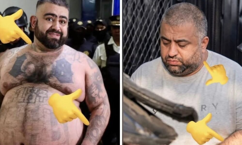 Alias “El Lobo” de Barrio 18
